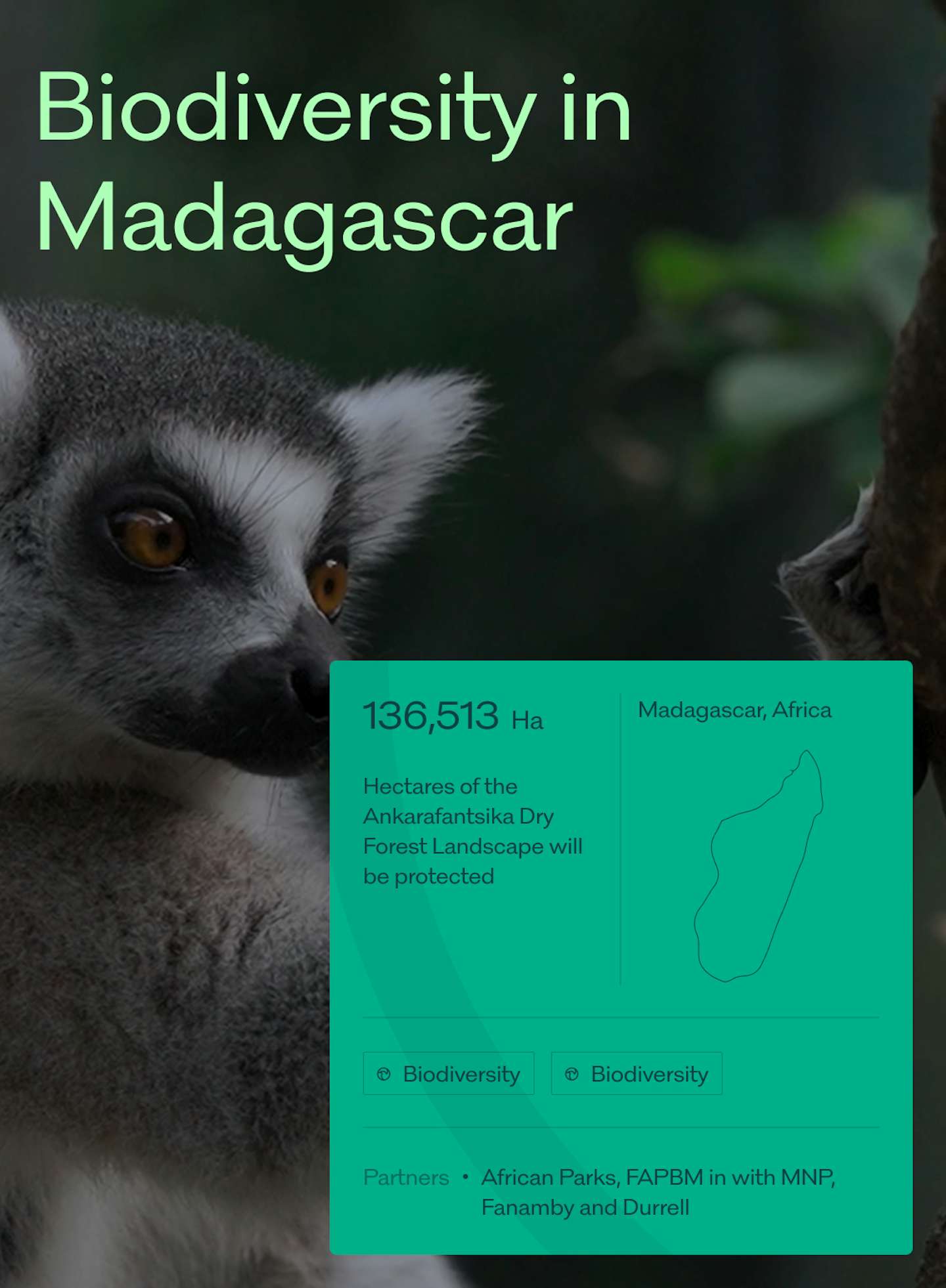 Hempel Foundation | Spring/Summer