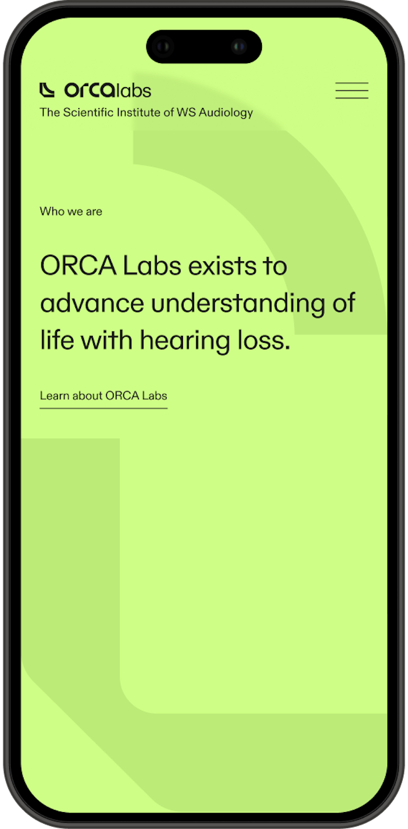 ORCA Labs website for WSA